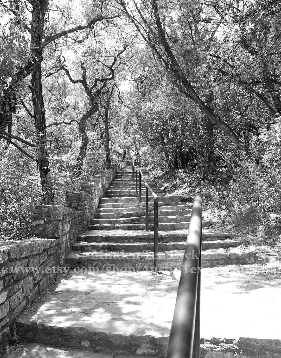 Vertical Photo Print the Stairs at Mount Bonnell Austin Photography ...