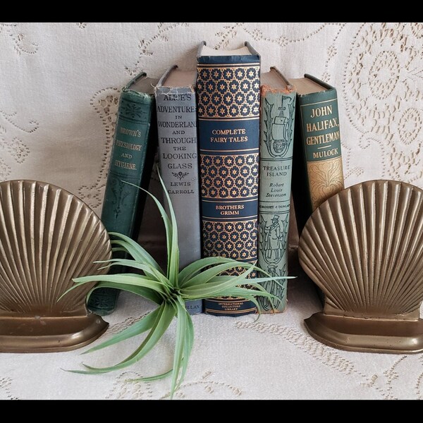 Shell Bookends - Etsy
