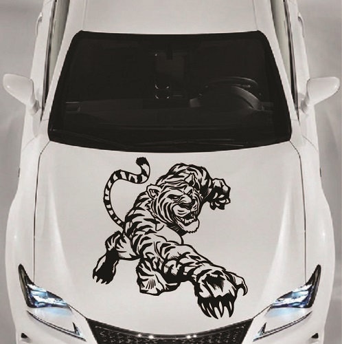 In-style Decals Vehicle Auto Car Décor Vinyl Decal Art Sticker Angry ...