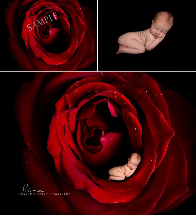 Newborn Photography Digital Backdrop Background Collection Instant ...