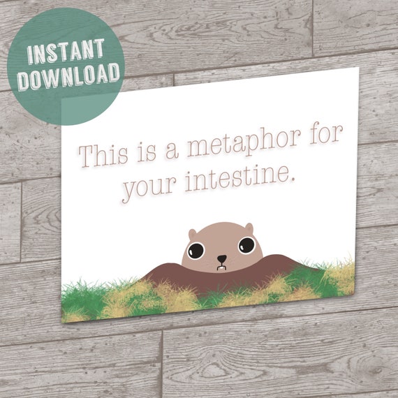 Funny Hernia Repair Surgery Card surgical Get Well Hospital - Etsy