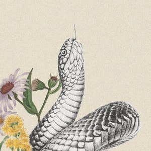 Floral Snake Vintage Art Print Downloadable - Retro Botanical Tattoo ...