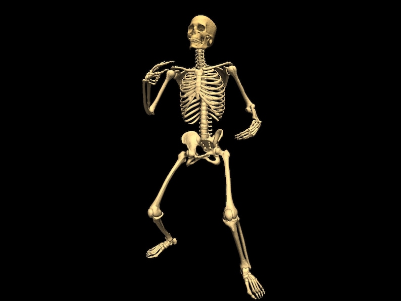 Twitch Halloween Emote: Transparent Animated Head Banger Dancing ...