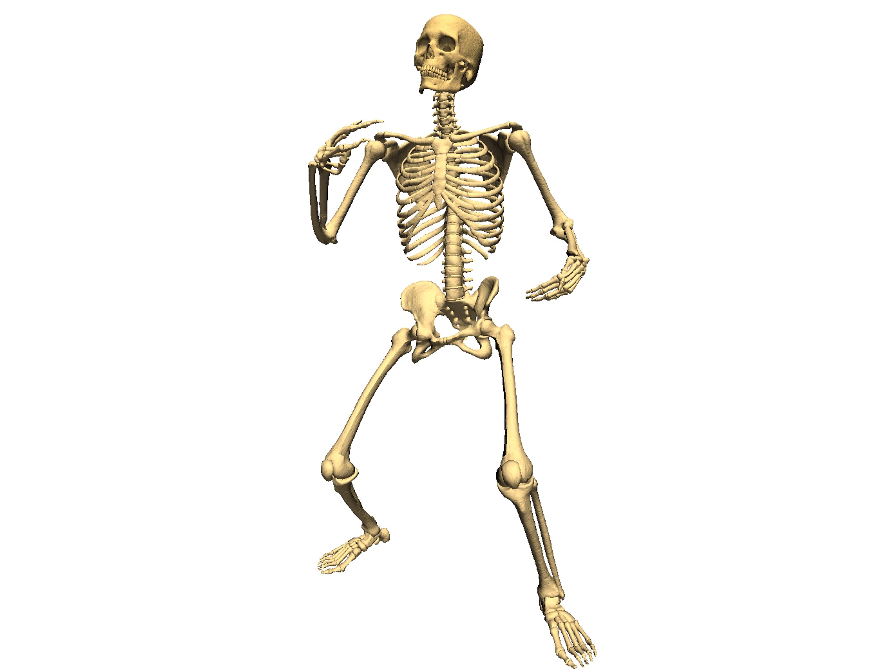 Twitch Halloween Emote: Transparent Animated Head Banger Dancing ...