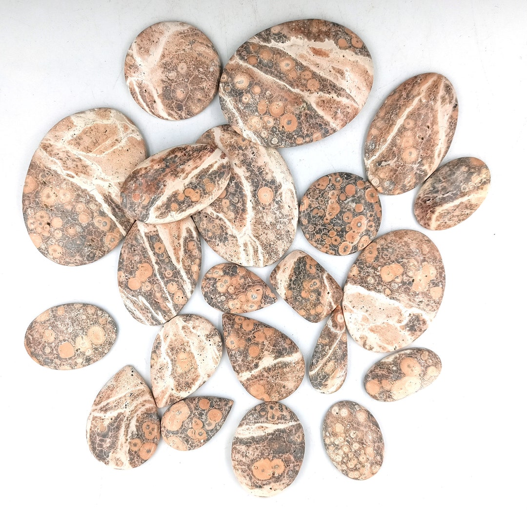 Natural Rosetta Jasper Gemstone Lot Top Quality Rosetta Jasper Stones ...