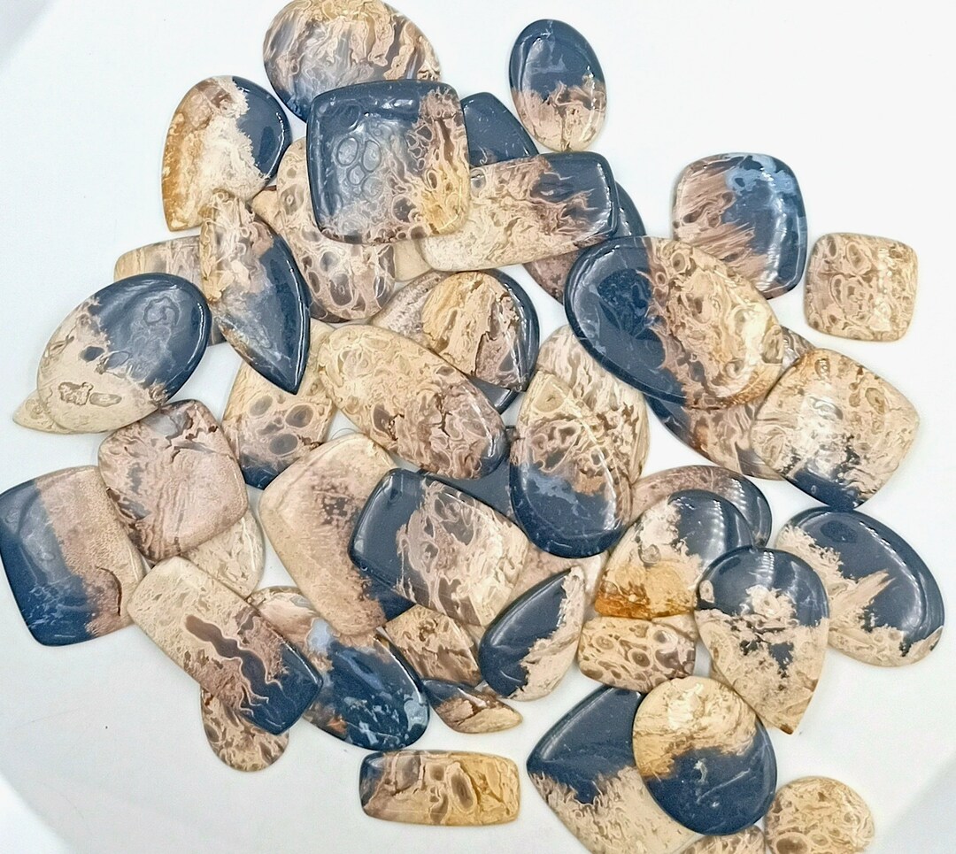 Top Quality Palm Root Agate Gemstones for Sale | Natural Palm Root ...