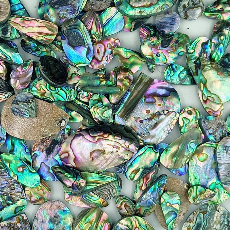 Blue Abalone Shell - Etsy