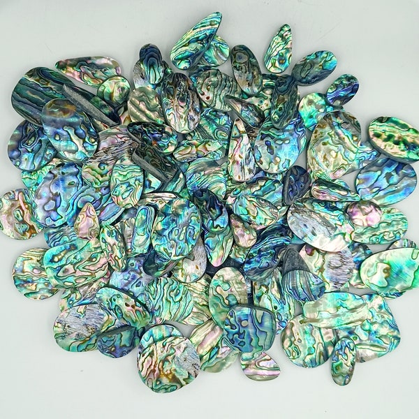 Abalone Shell (Just for you!) - Etsy