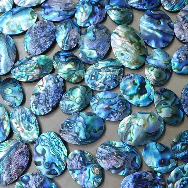 Blue Abalone Shell - Etsy