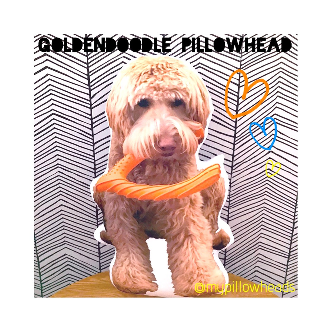 Goldendoodle Pet Pillow Personalised Pillow Personalized Gift Gift for ...