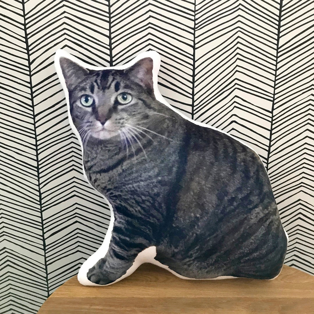 Pet Memorial Pet Memory Pillow Pillowhead Custom Pet Portrait ...