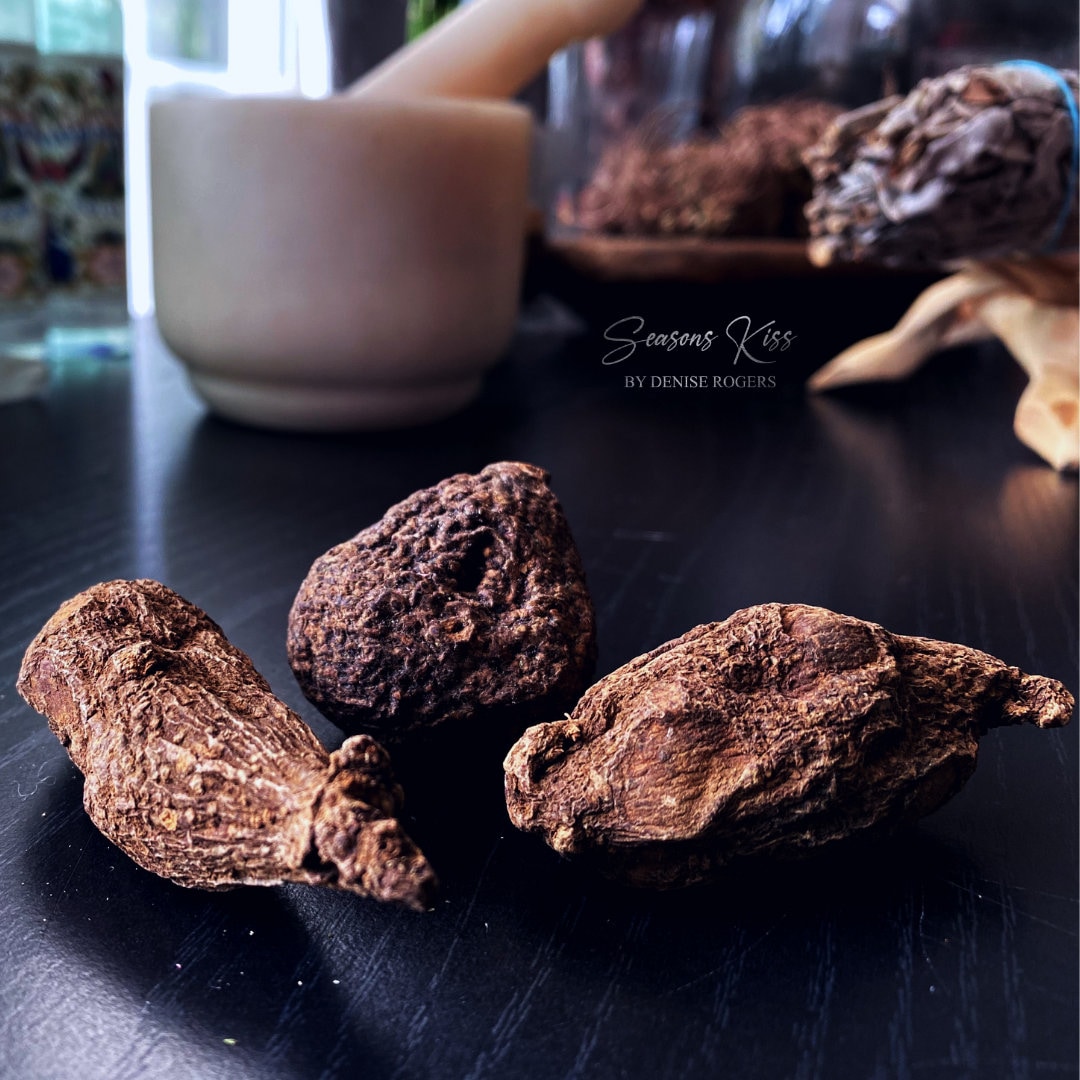 High John the Conqueror Root 3-pc. - Etsy