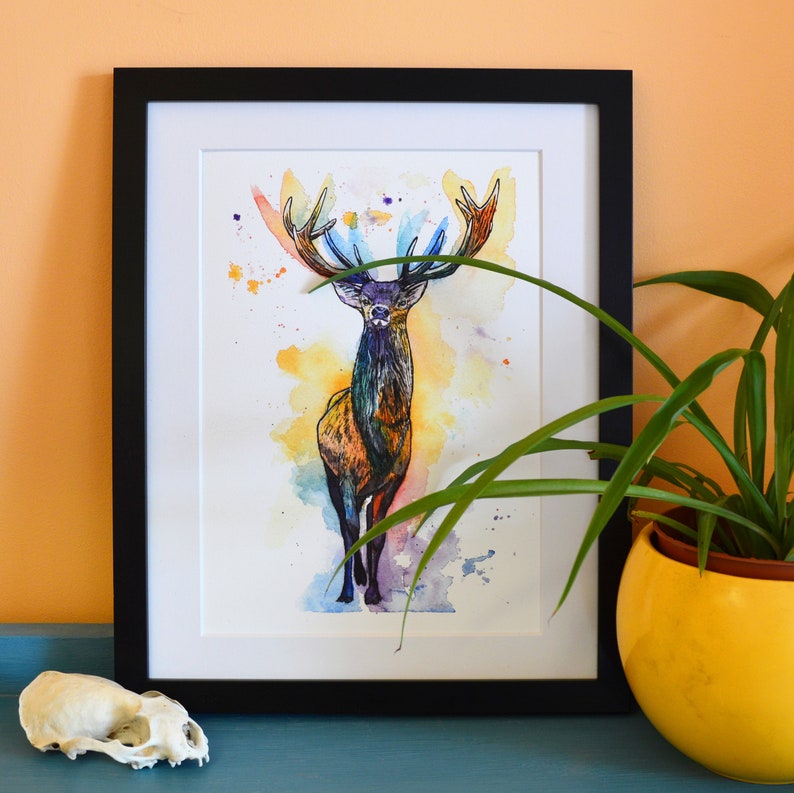 The Stag - Watercolour Art Print - Etsy