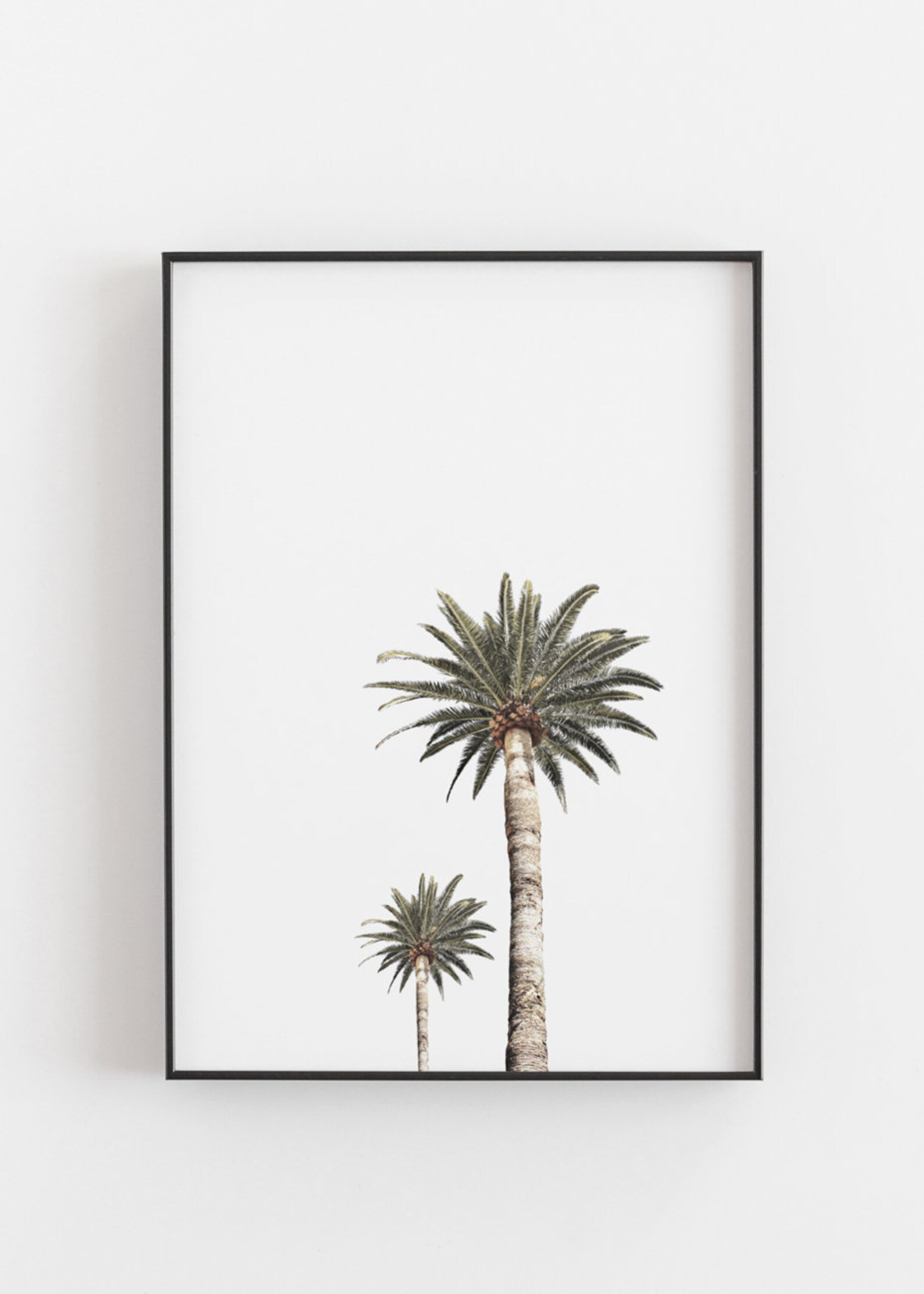 Palm Tree Print Wall Art Wall Decor Wall Prints Palm Etsy