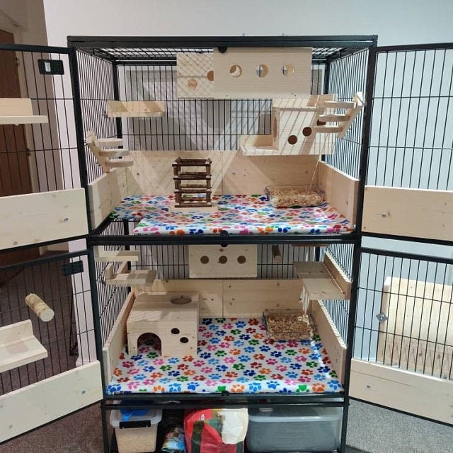 Chinchilla Cage Setup