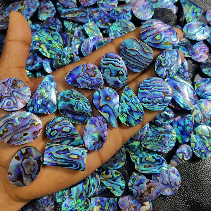 Abalone Shell - Etsy