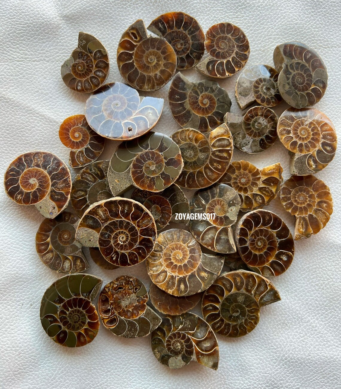 Natural Brown Ammonite Gemstone: Bulk Crystal Pendants, DIY Jewelry ...