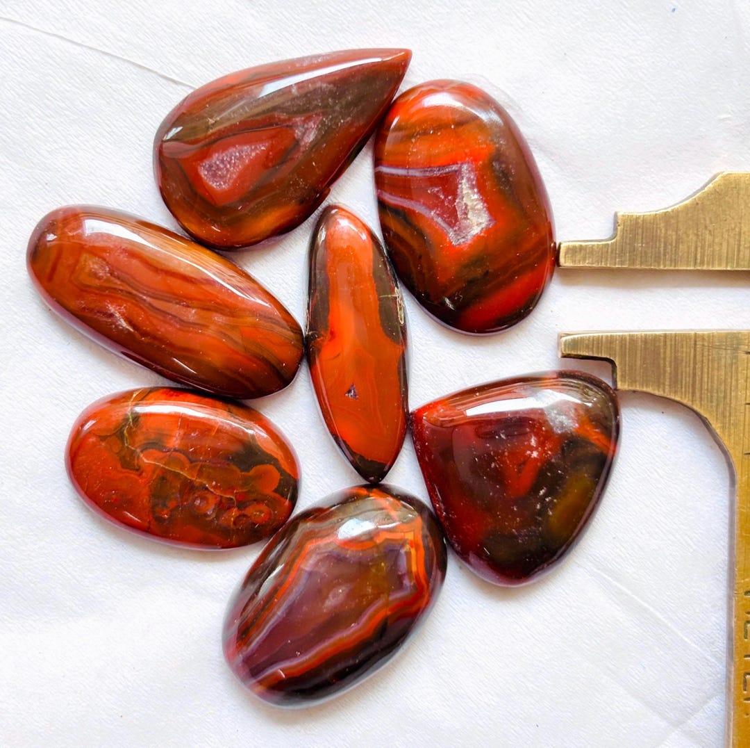 7 Pcs Lot of Thunder Agate Ring Size Cabochon-thunder Agate Jewelry ...