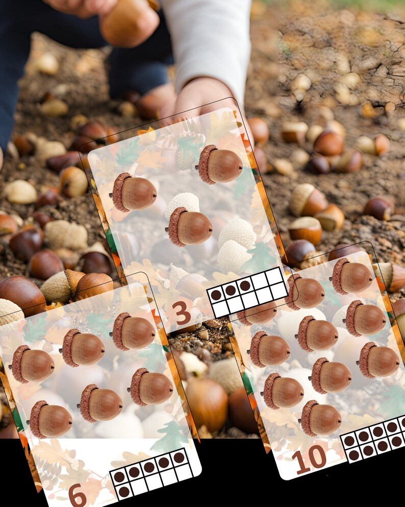 Counting to 10. Acorn Counting Activity - Printable Educational Game ...