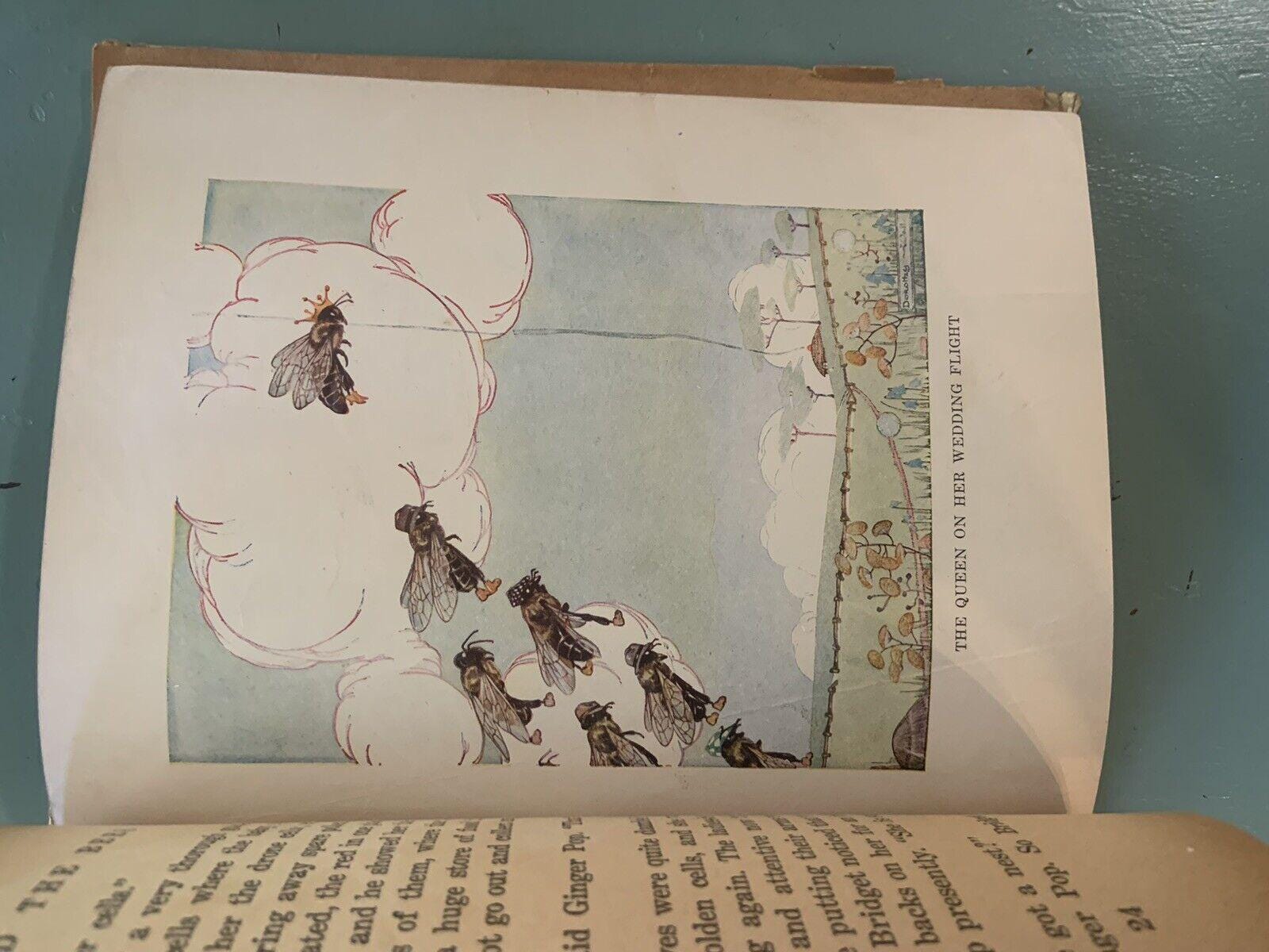 Vintage 1935 BRIDGET and THE BEES Dorothy Wall First Edition - Etsy