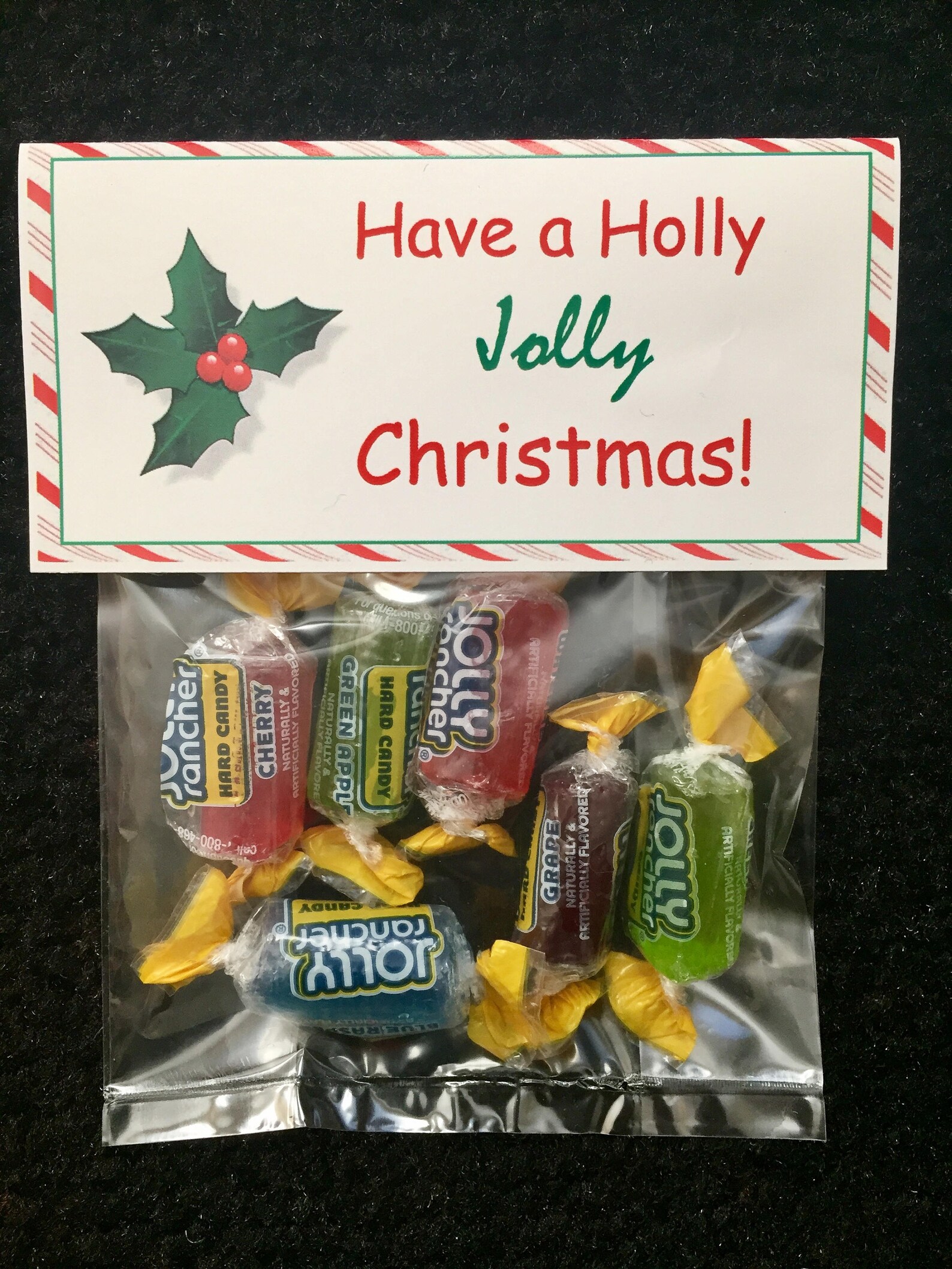 Jolly Roger holly Jolly Christmas Gift Bag School - Etsy Canada