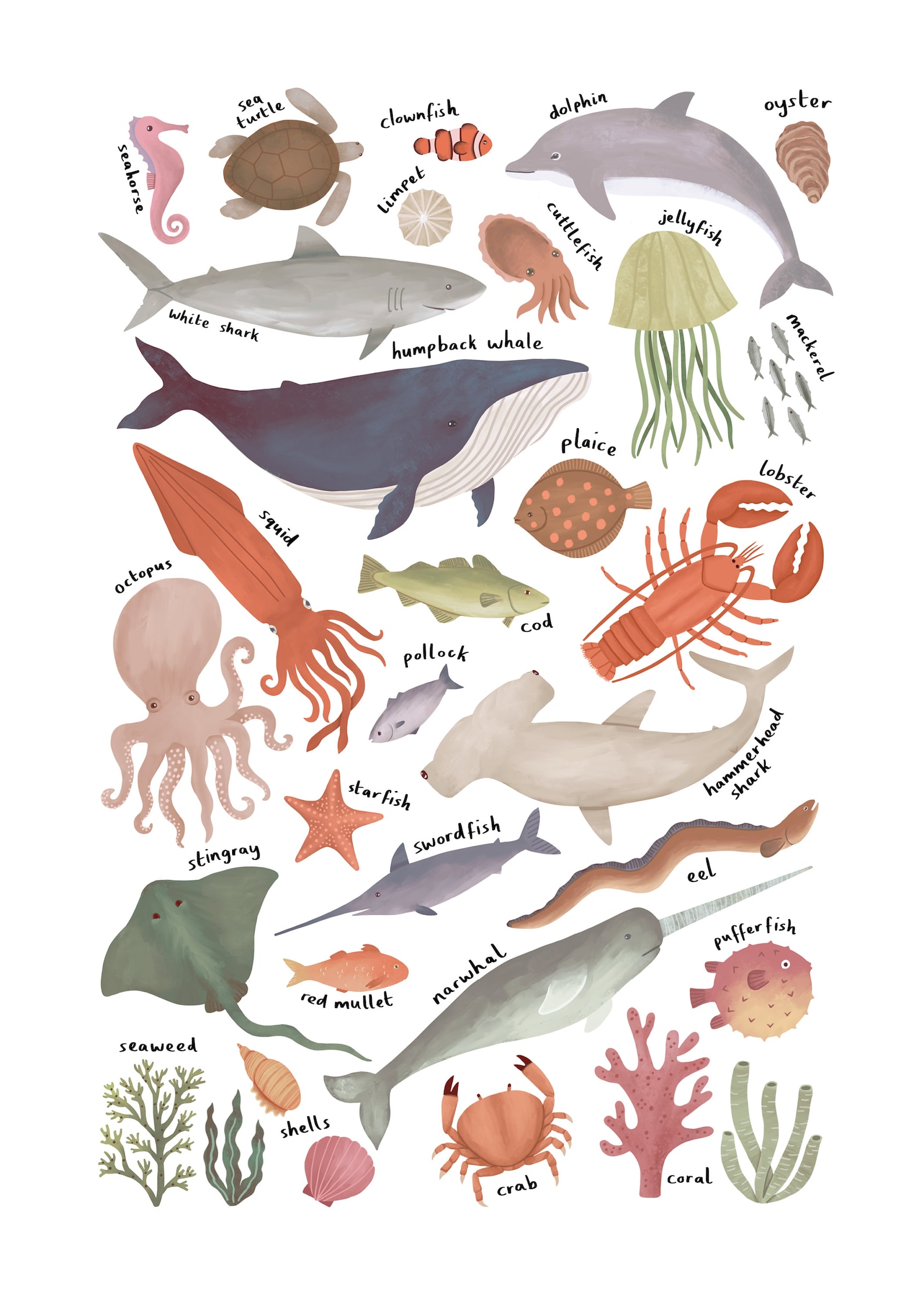 Ocean Life Chart Print, Nursery Wall Art, Children's Wall Art, Perfect ...