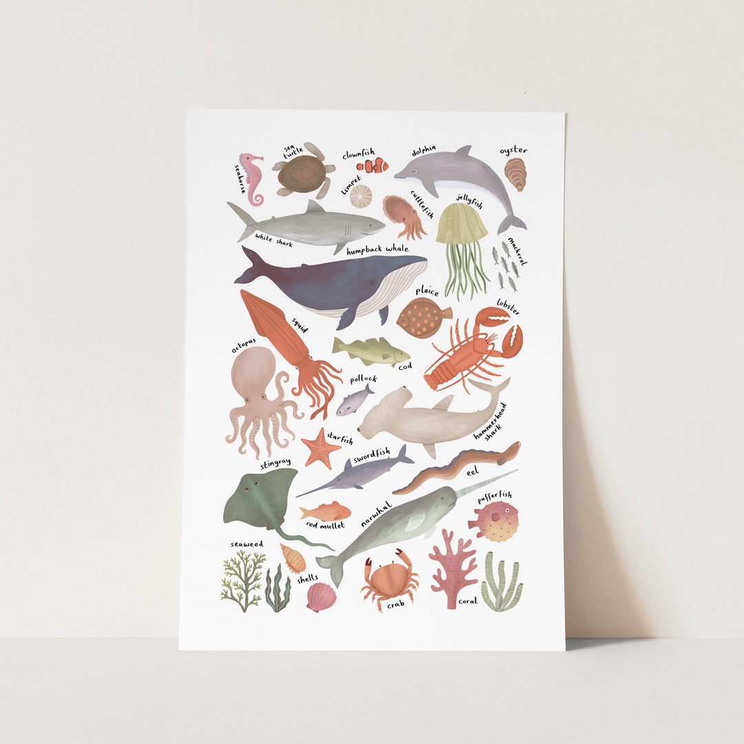 Ocean Life Chart Print, Nursery Wall Art, Children's Wall Art, Perfect ...