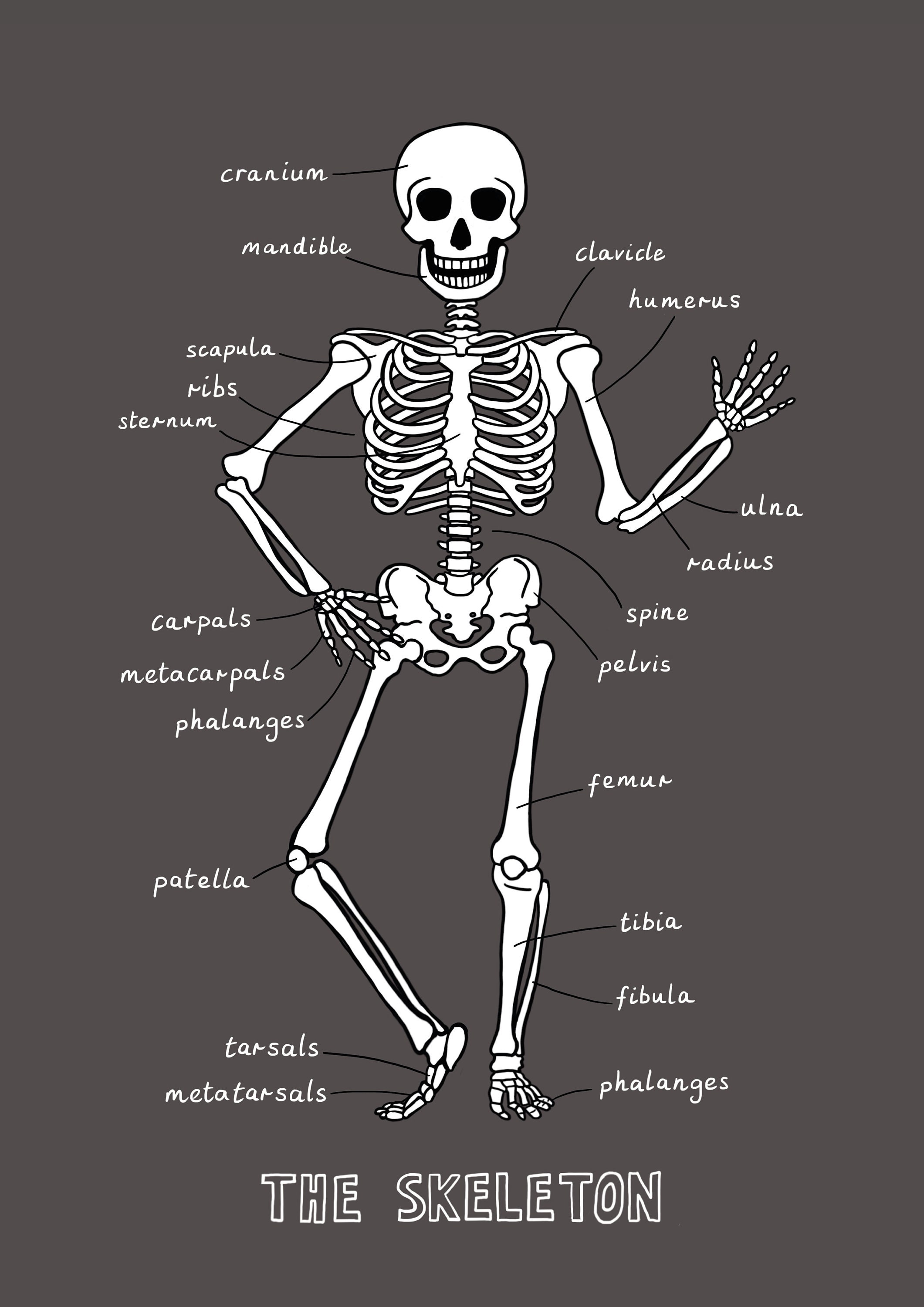 Skeleton Print in Black Nursery Wall Art Children's Wall - Etsy