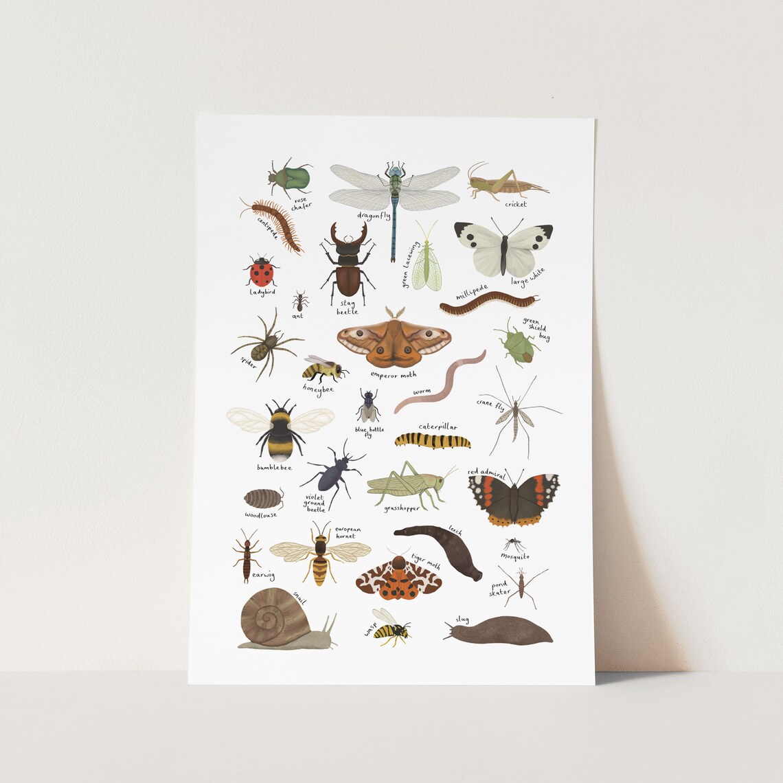Minibeasts Print in White, Children's Decor, Educational Decor, Perfect ...