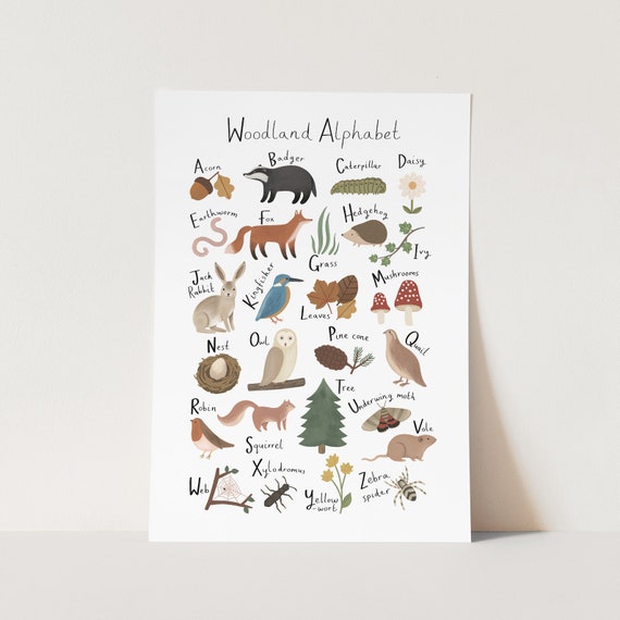 Woodland Alphabet Print in White Alphabet Poster Abc Print - Etsy