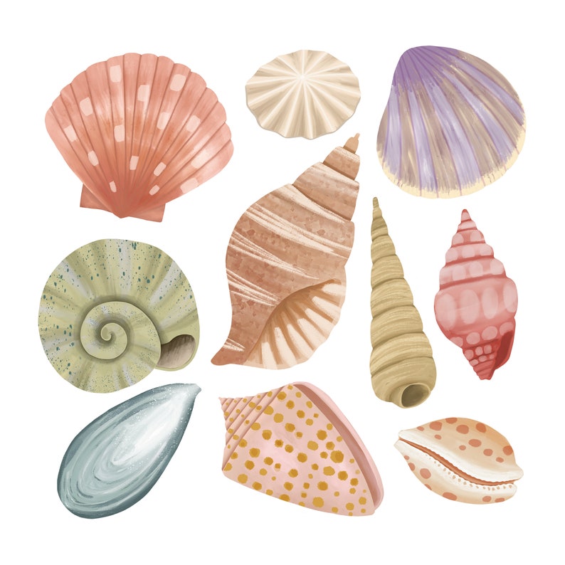 Shells Print, Children's Decor, Nursery Ocean Theme, Under the Sea ...