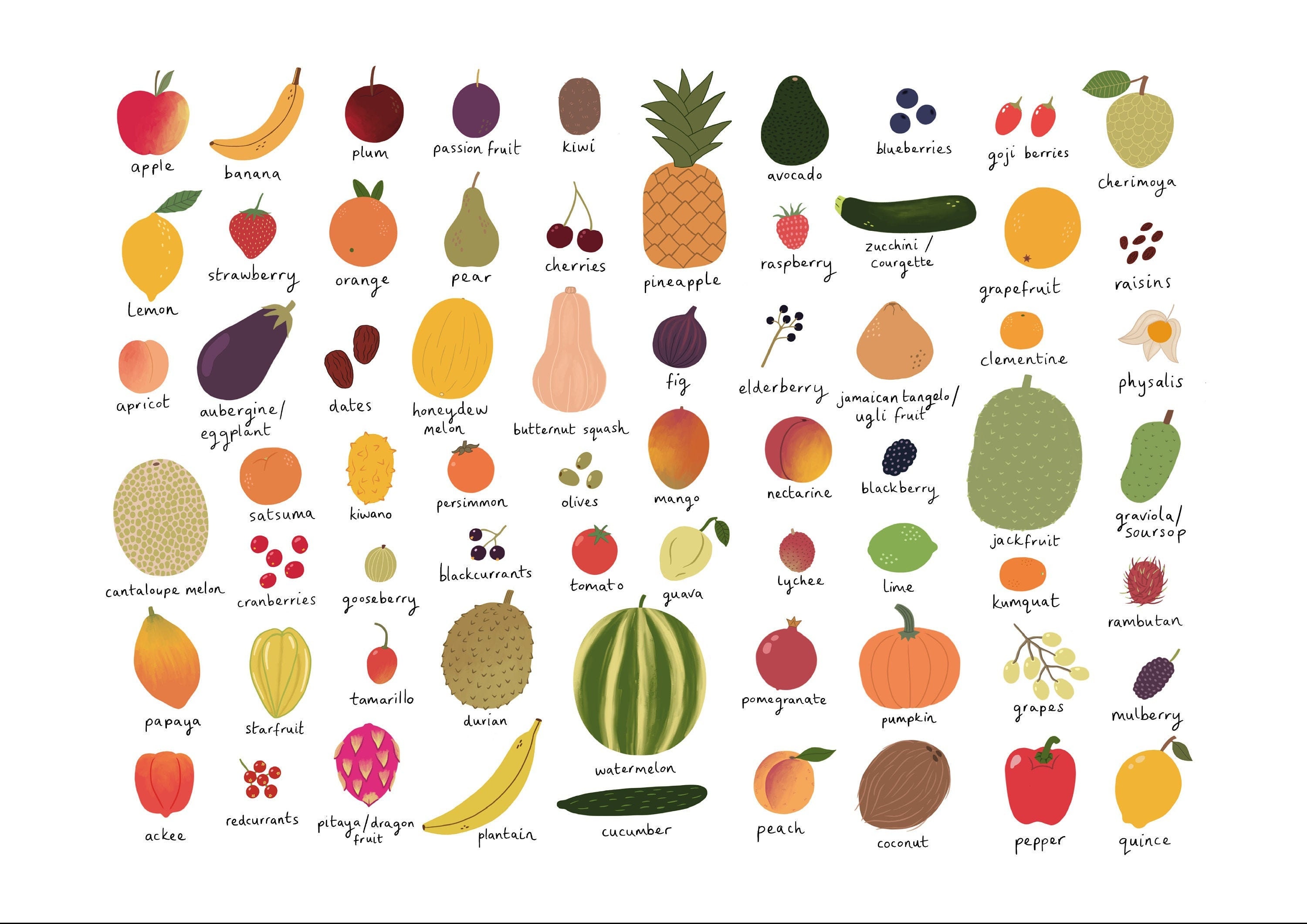 Fruit Chart Print Children's Decor Nursery Rainbow - Etsy UK
