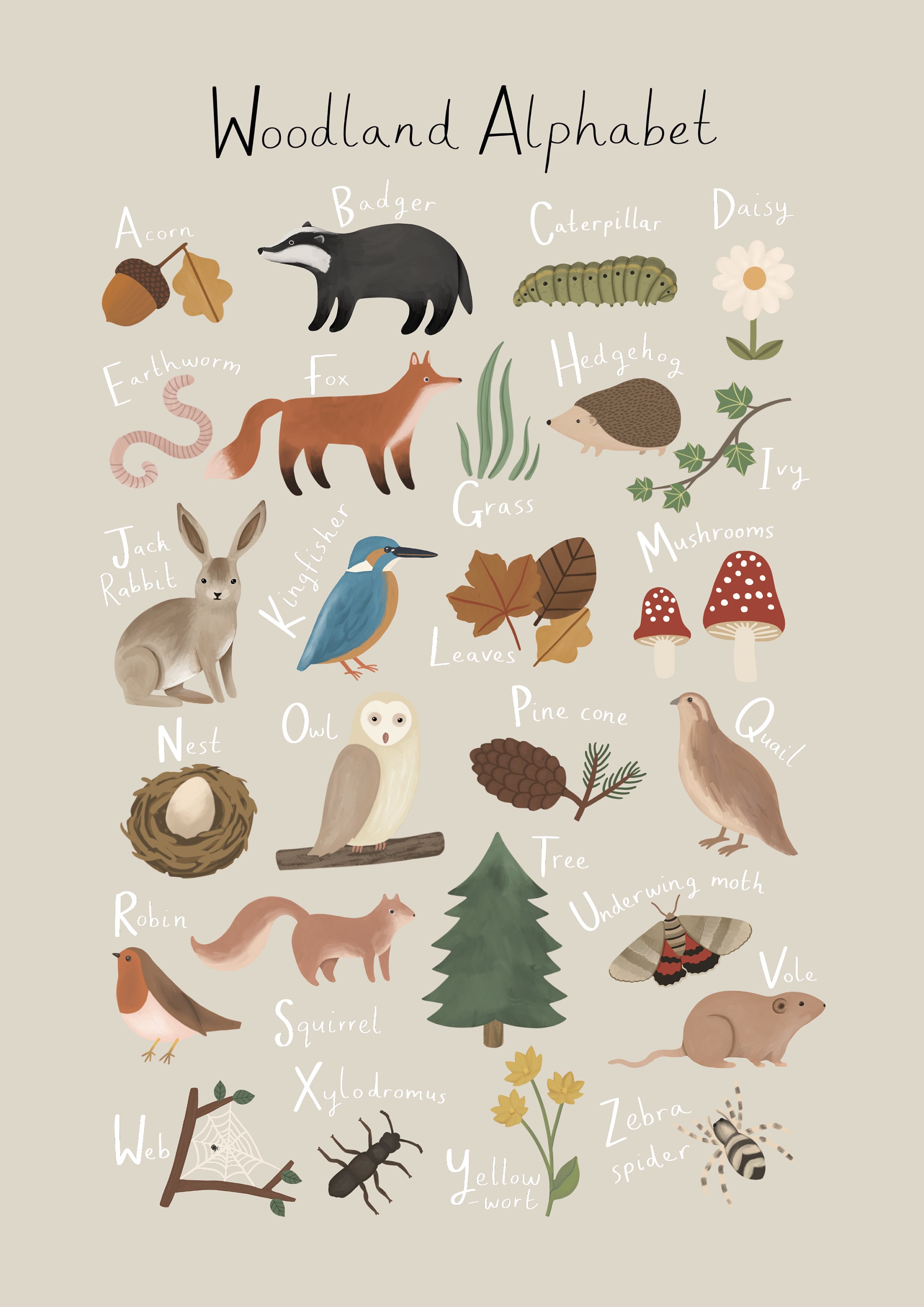 Woodland Alphabet Print in Stone, Alphabet Poster, Abc Print, Nursery ...