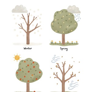Seasons Print in White, Seasons Poster, Educational Print, Nursery Art ...