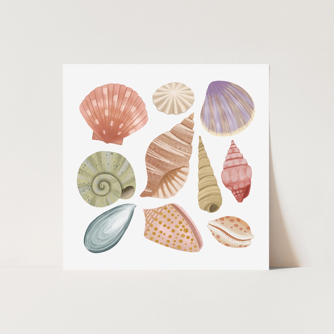Shells Print, Children's Decor, Nursery Ocean Theme, Under the Sea ...