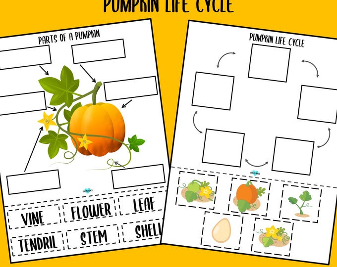 Pumpkin Life Cycle Printable Parts of a Pumpkin Unit Study - Etsy
