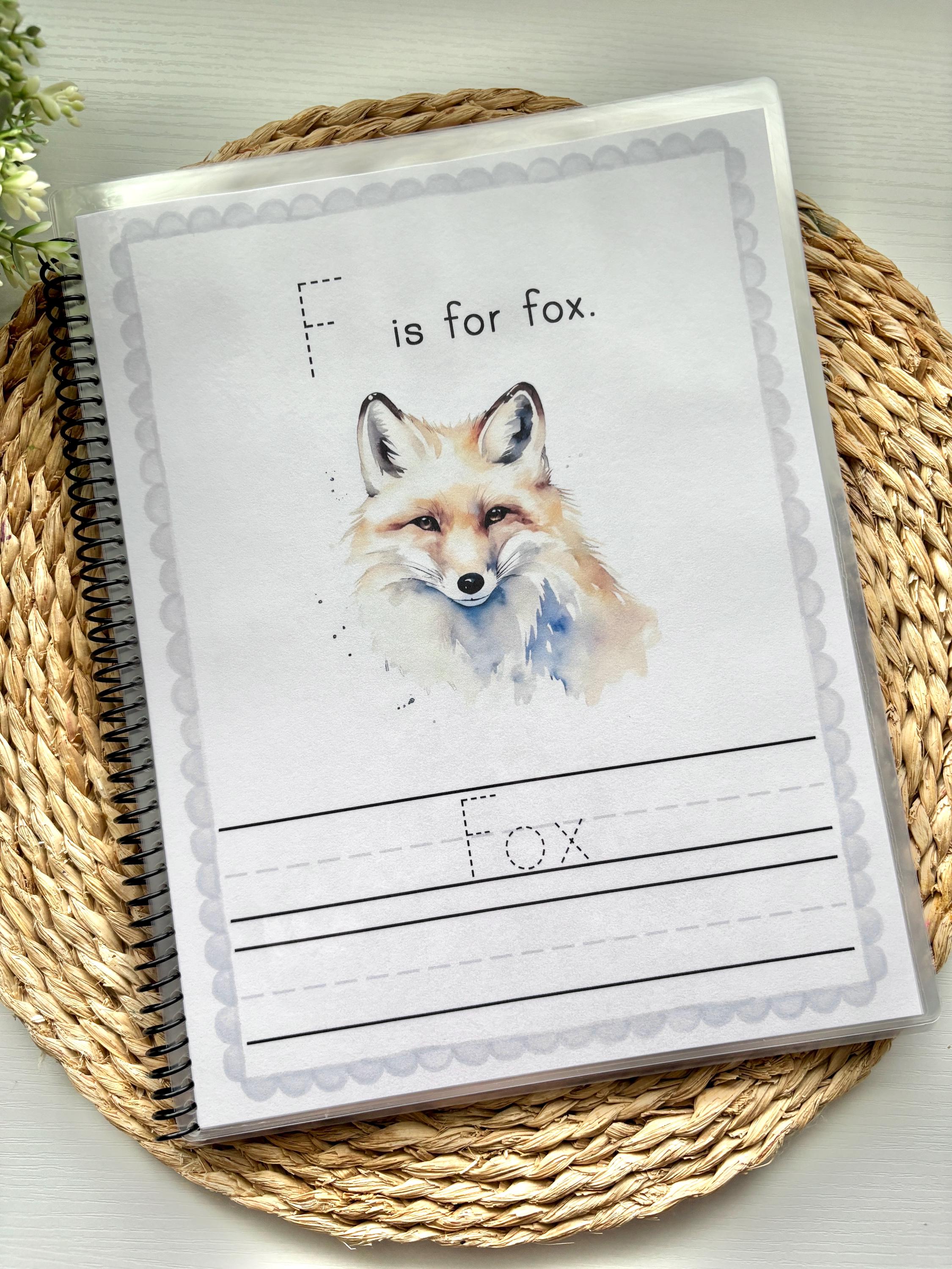 PERSONALIZED Tracing Notebook Winter Theme | Name Tracing, Shapes ...