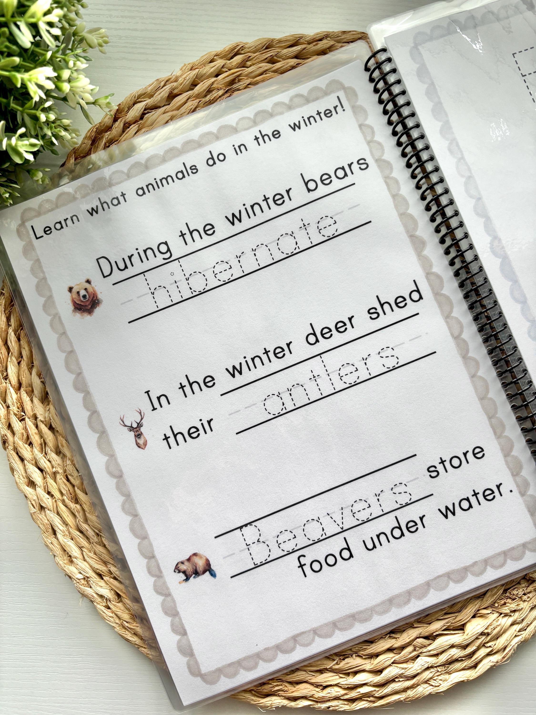 PERSONALIZED Tracing Notebook Winter Theme | Name Tracing, Shapes ...