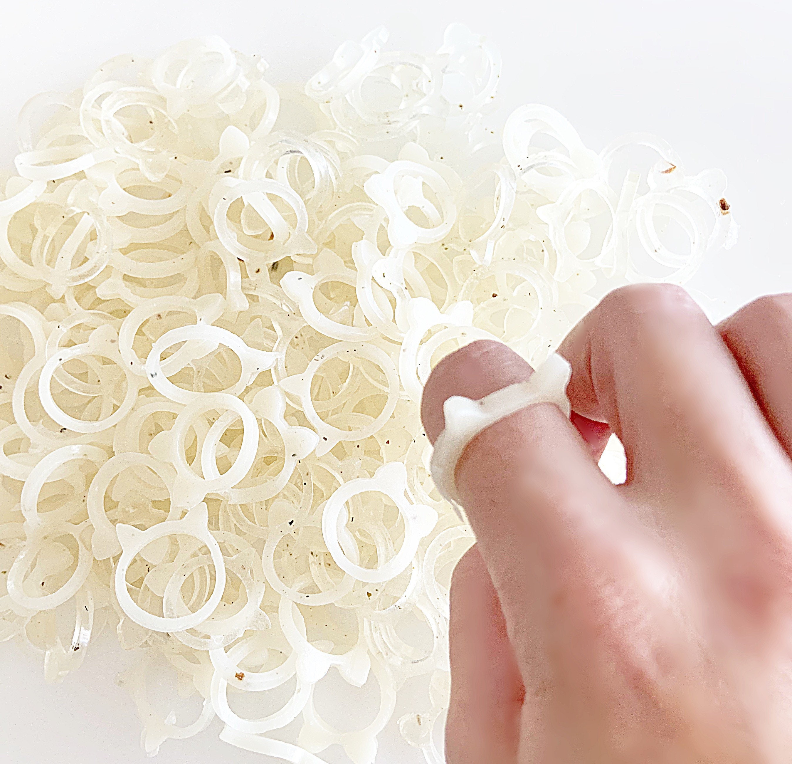 Mini Travel Cat Ring SOAPS - Etsy UK