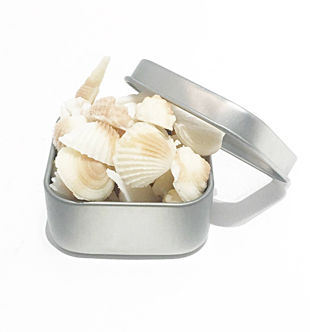 SEA SHELL SOAP Mini Sea Shell Party Favor Soap Conch Beach Soap Set Sea ...