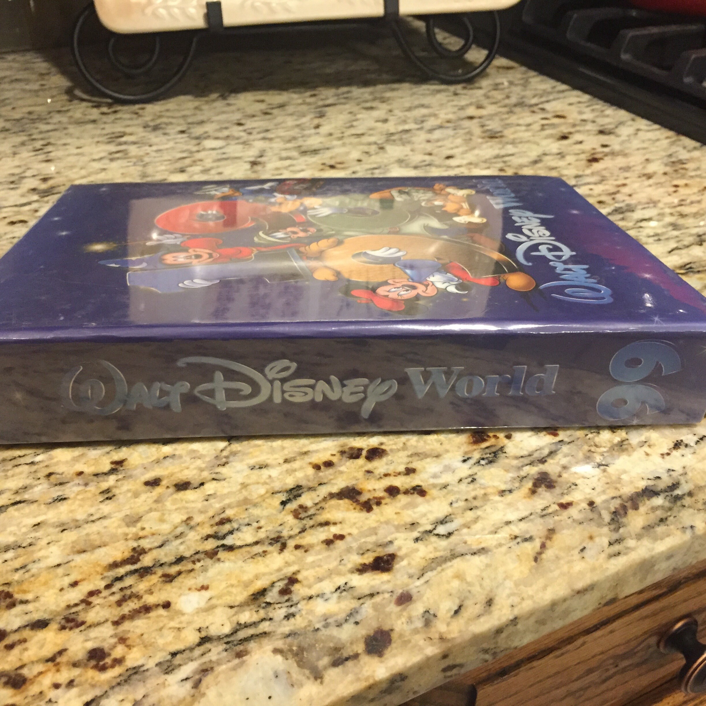 VTG Photo Album, DISNEY WORLD 1999-walt Disney World Photo Album ...