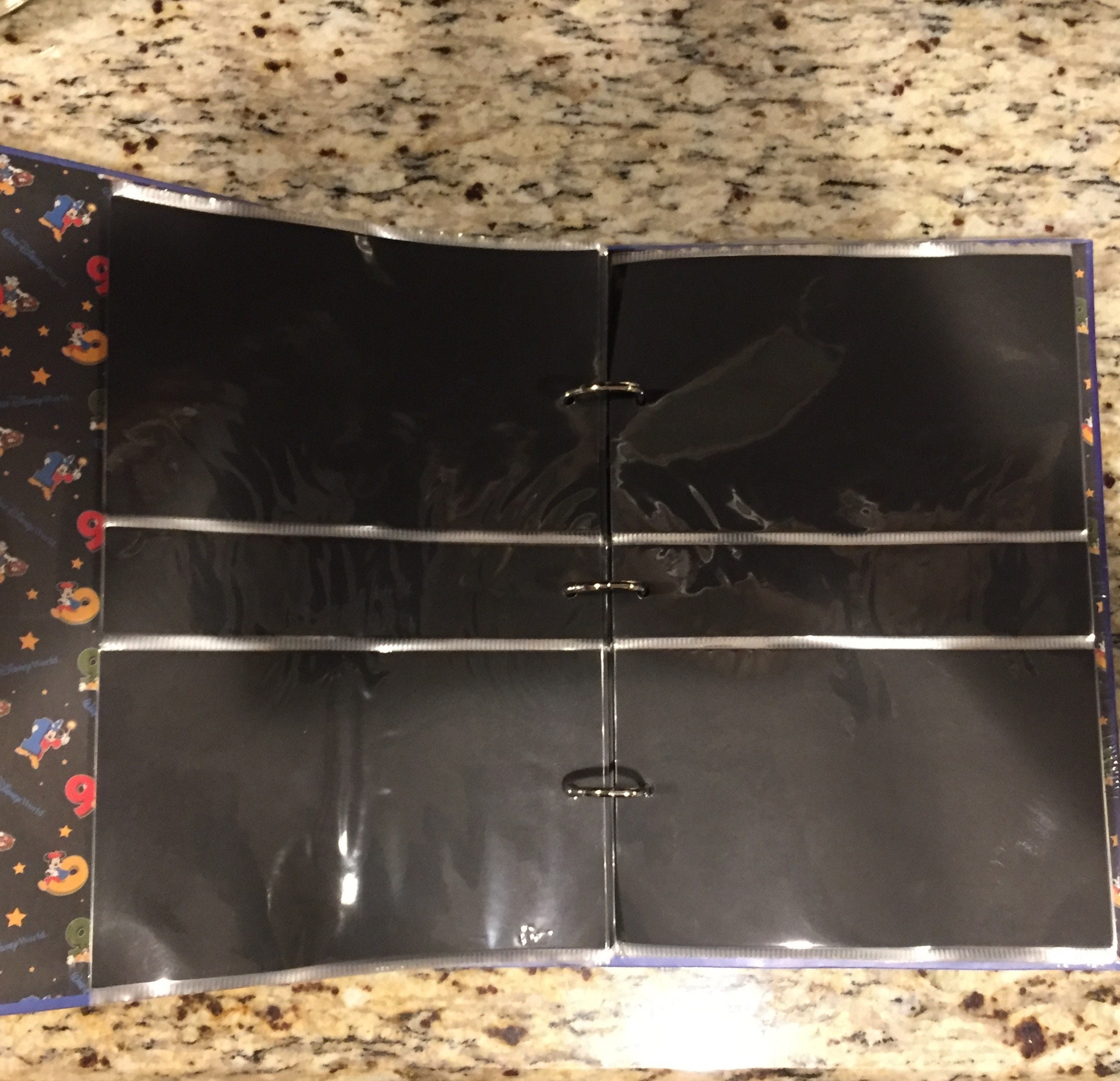 VTG Photo Album, DISNEY WORLD 1999-walt Disney World Photo Album ...