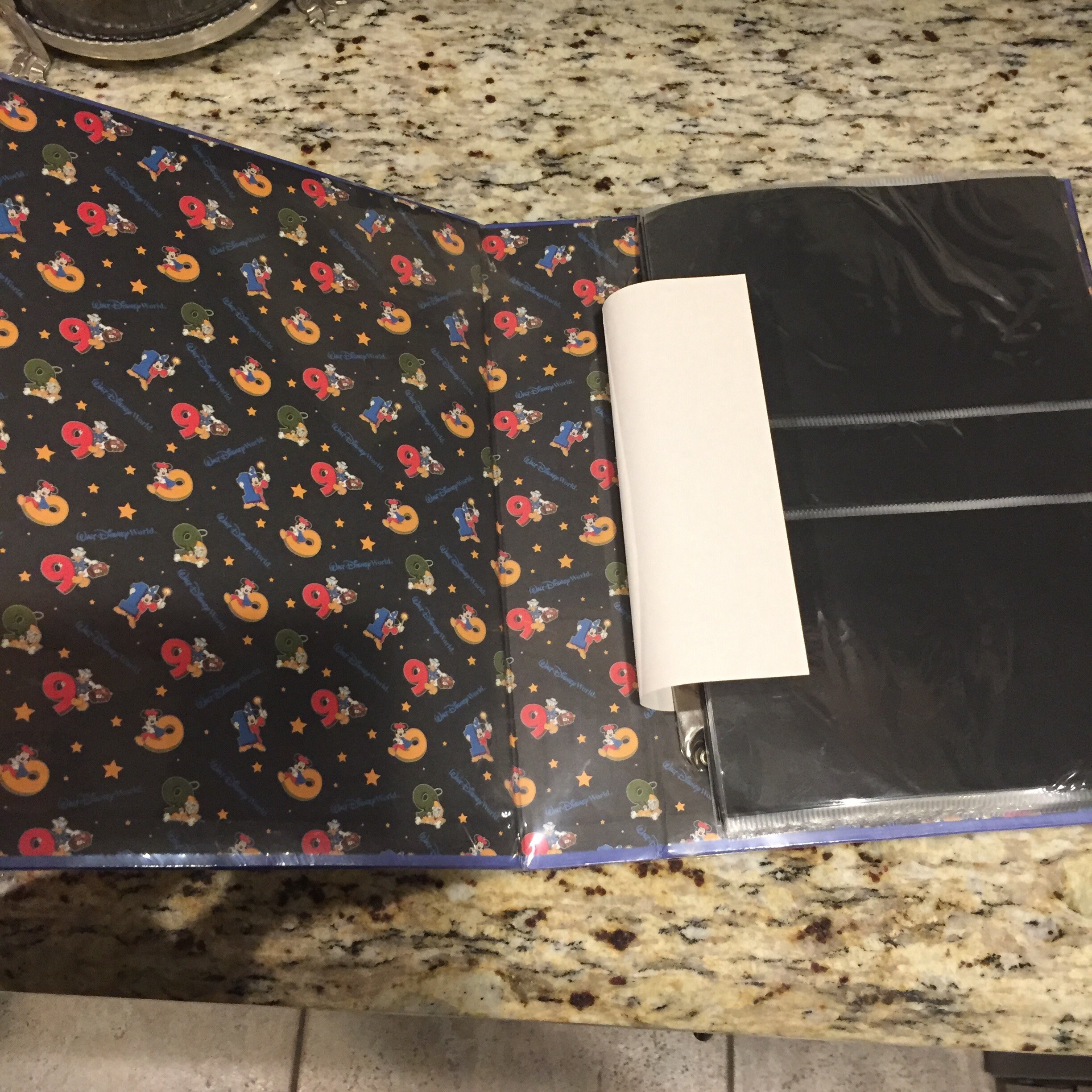 VTG Photo Album, DISNEY WORLD 1999-walt Disney World Photo Album ...
