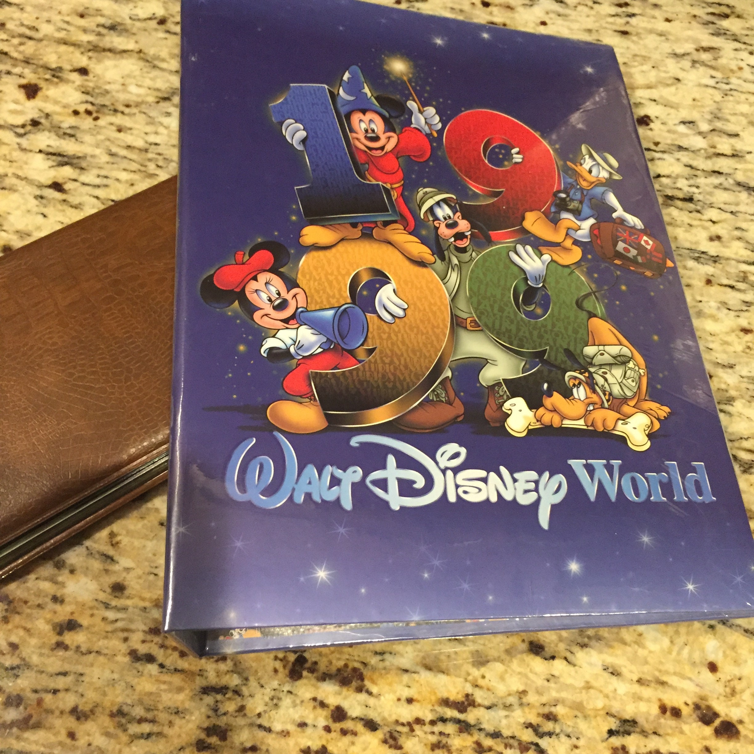 VTG Photo Album, DISNEY WORLD 1999-walt Disney World Photo Album ...