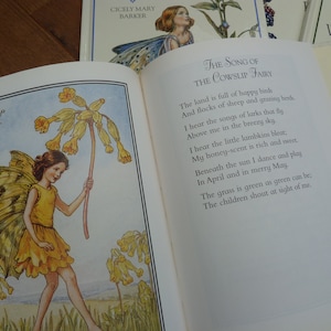 Flower Fairies Library Collection of 8 Hardback Illustrated Books in ...