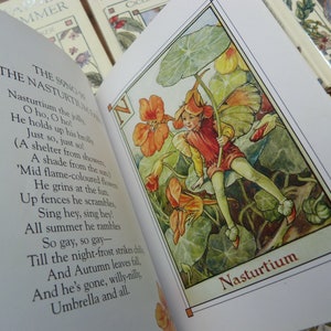 Complete Flower Fairies Collection Slipcase Containing Eight Hardback ...