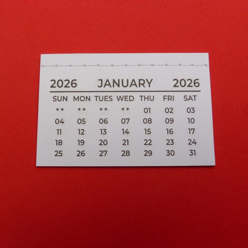 Mini Books With Bindings - Etsy