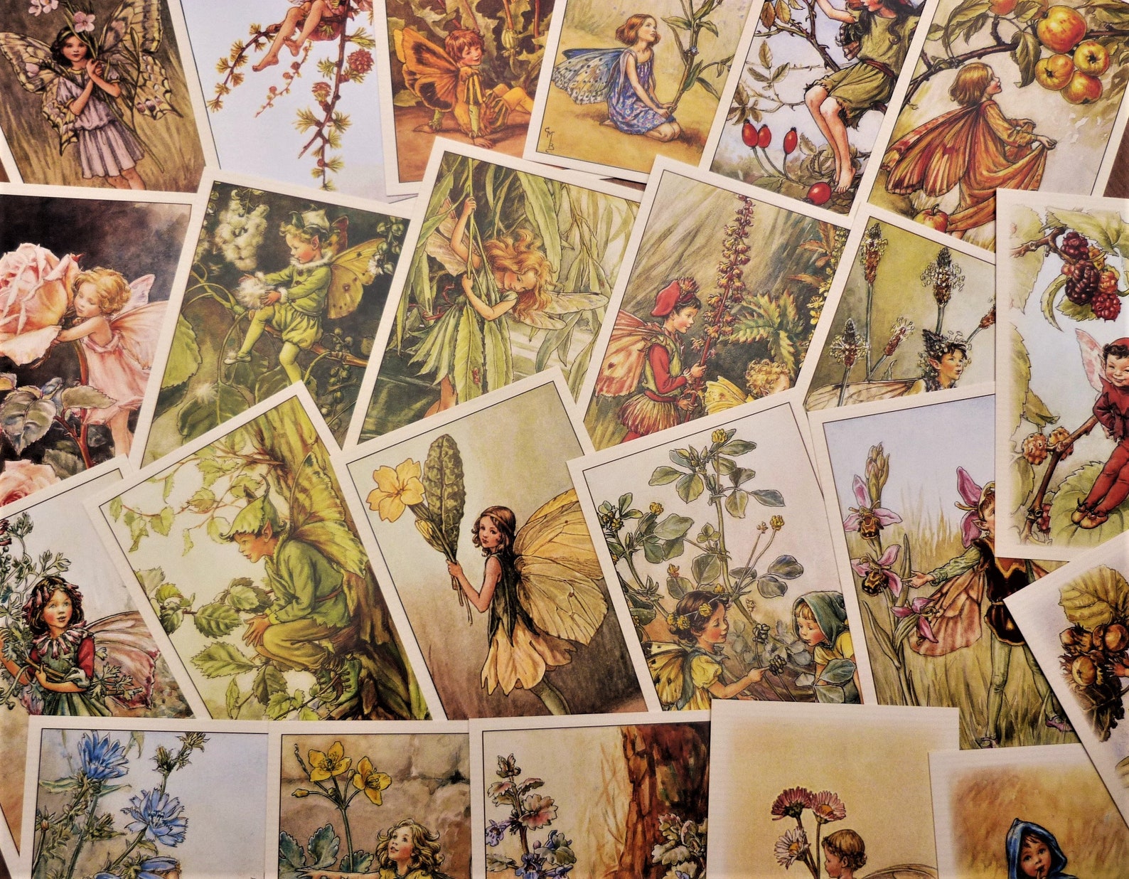 Flower Fairy Postcards Packs of 4 12 24 or 36 Illustrations by Cicely ...