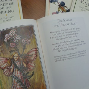 Flower Fairies Library Collection of 8 Hardback Illustrated Books in ...