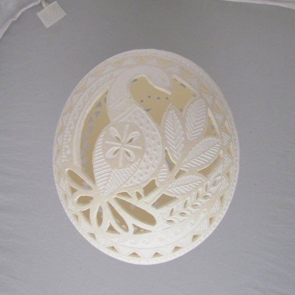 Ostrich Egg Shells - Etsy